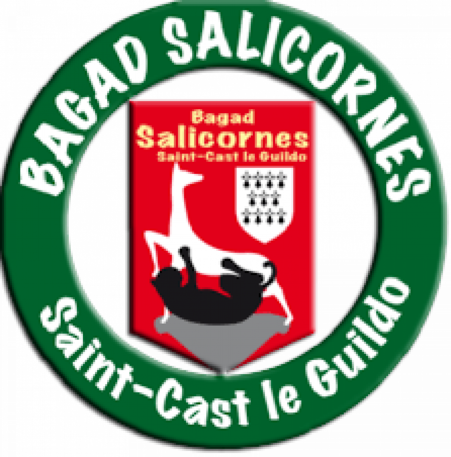Accueil - Bagad Salicornes